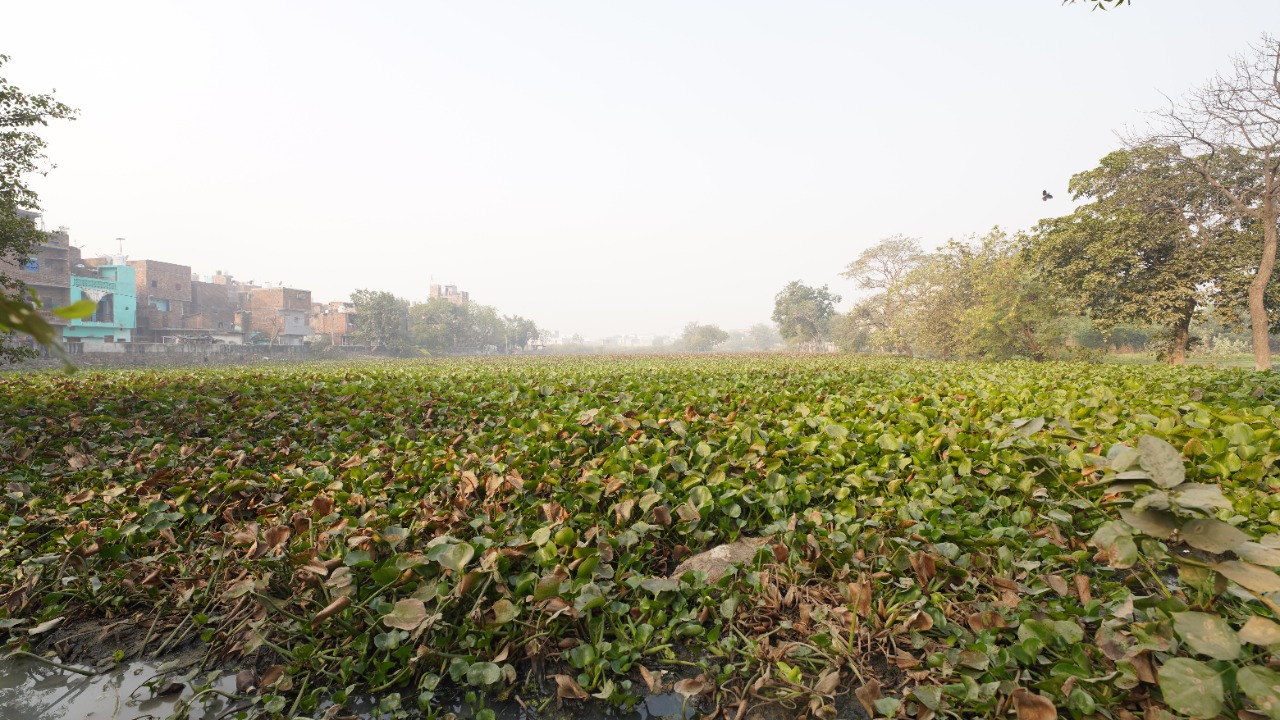 Water – Reviving the Ecosystem – Aam Aadmi Party